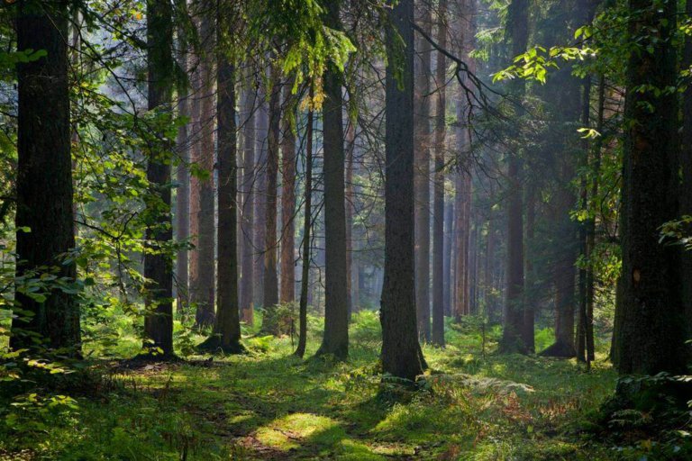 Tūrisma apskates objekti Polijā